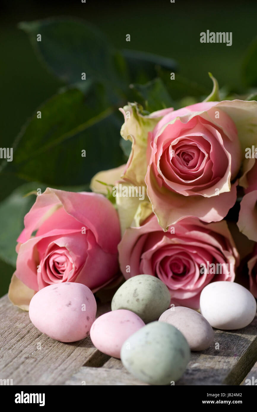 easter Easter eggs sweets flower rose plant pastel flowers blossoms ...