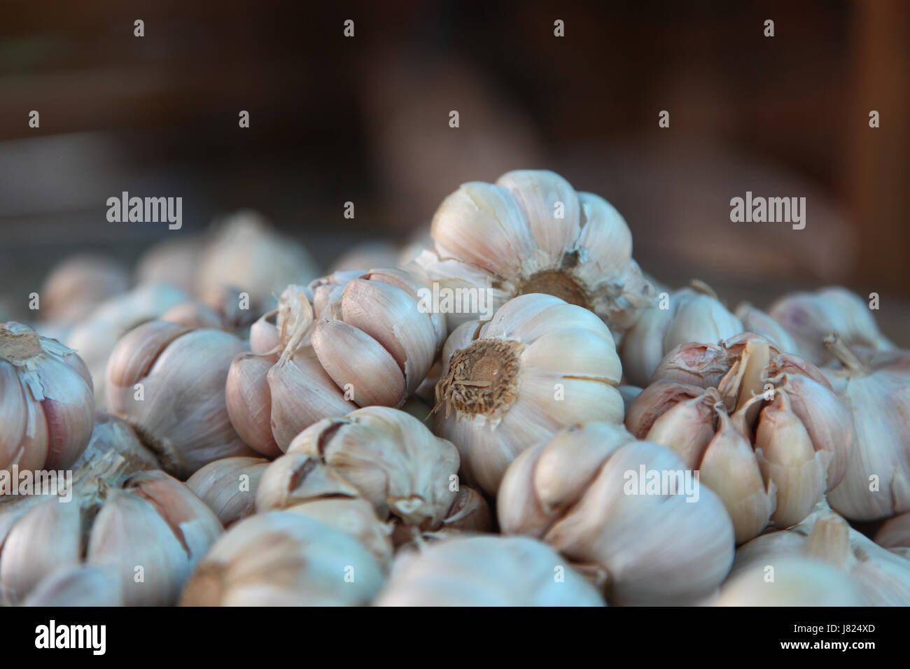 spice closeup aromatic garlic bulb vegetables close food aliment spice ...