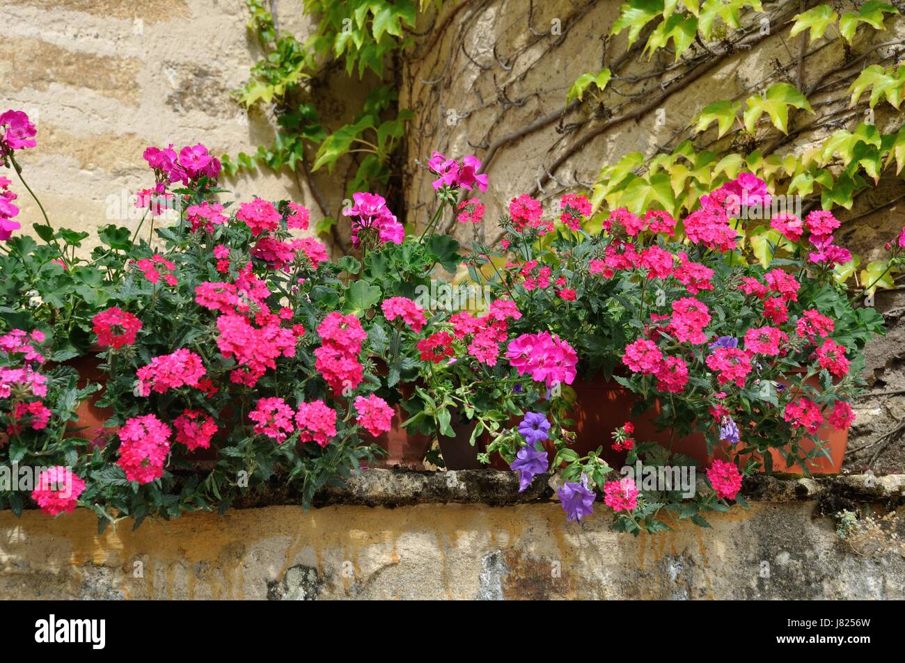 A flower balcony with geranium Stock Photo - Alamy