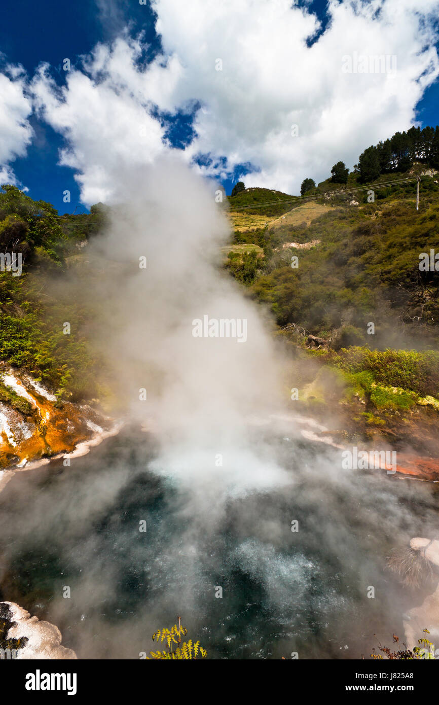 hot spring bouncing bounces hop skipping frisks jumping jump new ...