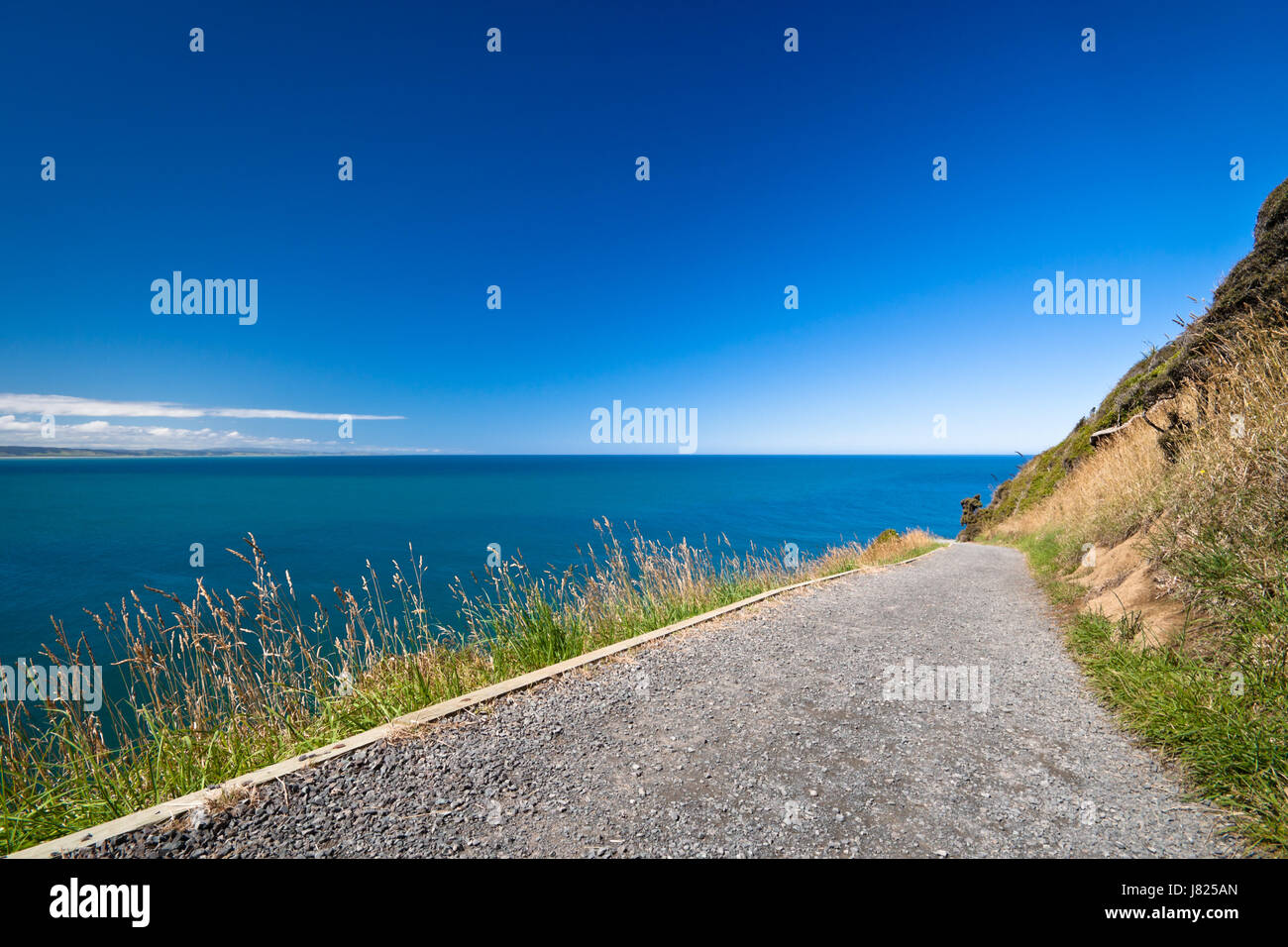 coast new zealand path way blue beautiful beauteously nice travel ...