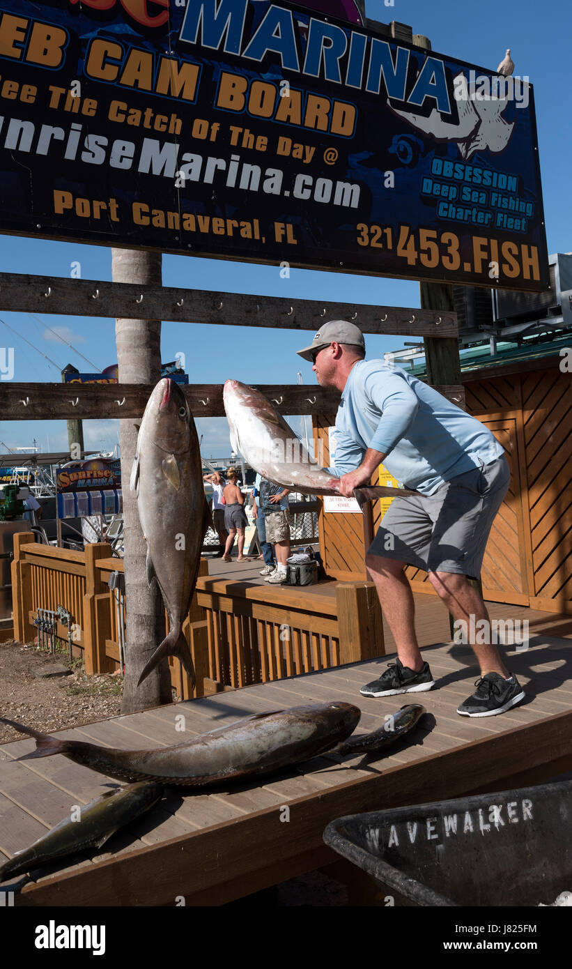 Big catch of fish boat hi-res stock photography and images - Alamy