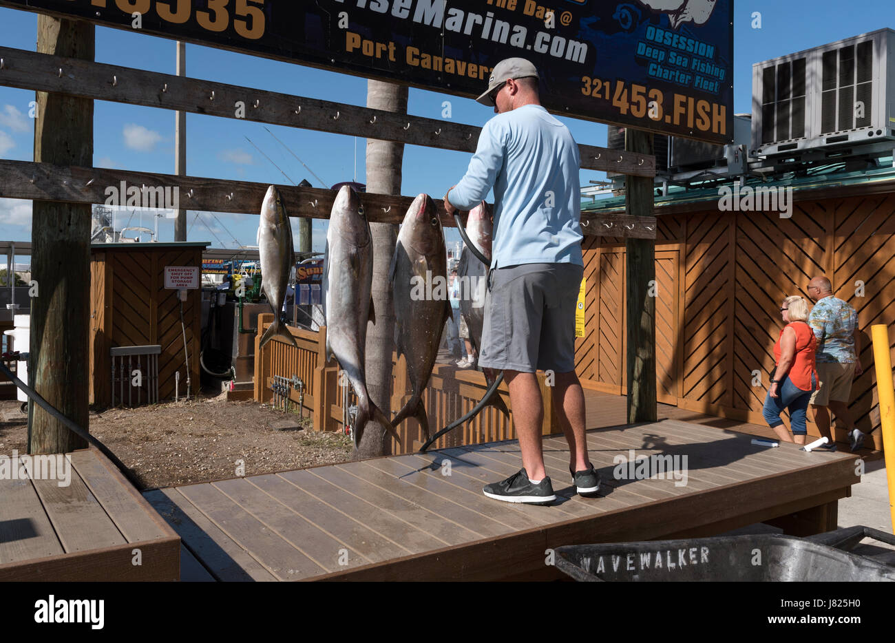 Big catch of fish boat hi-res stock photography and images - Alamy
