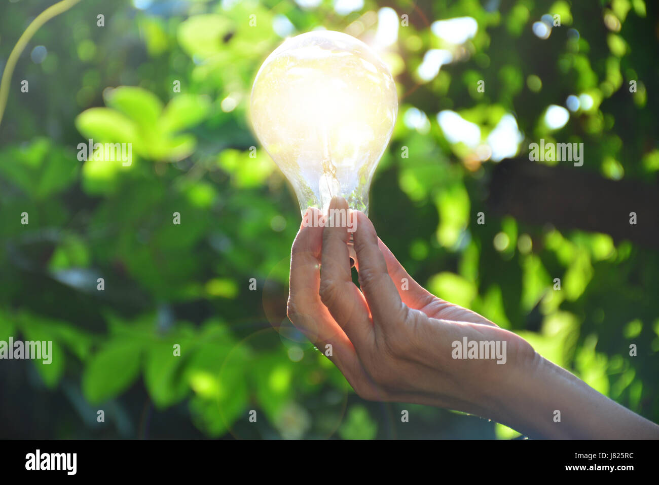 Person holding human brain hi-res stock photography and images - Alamy