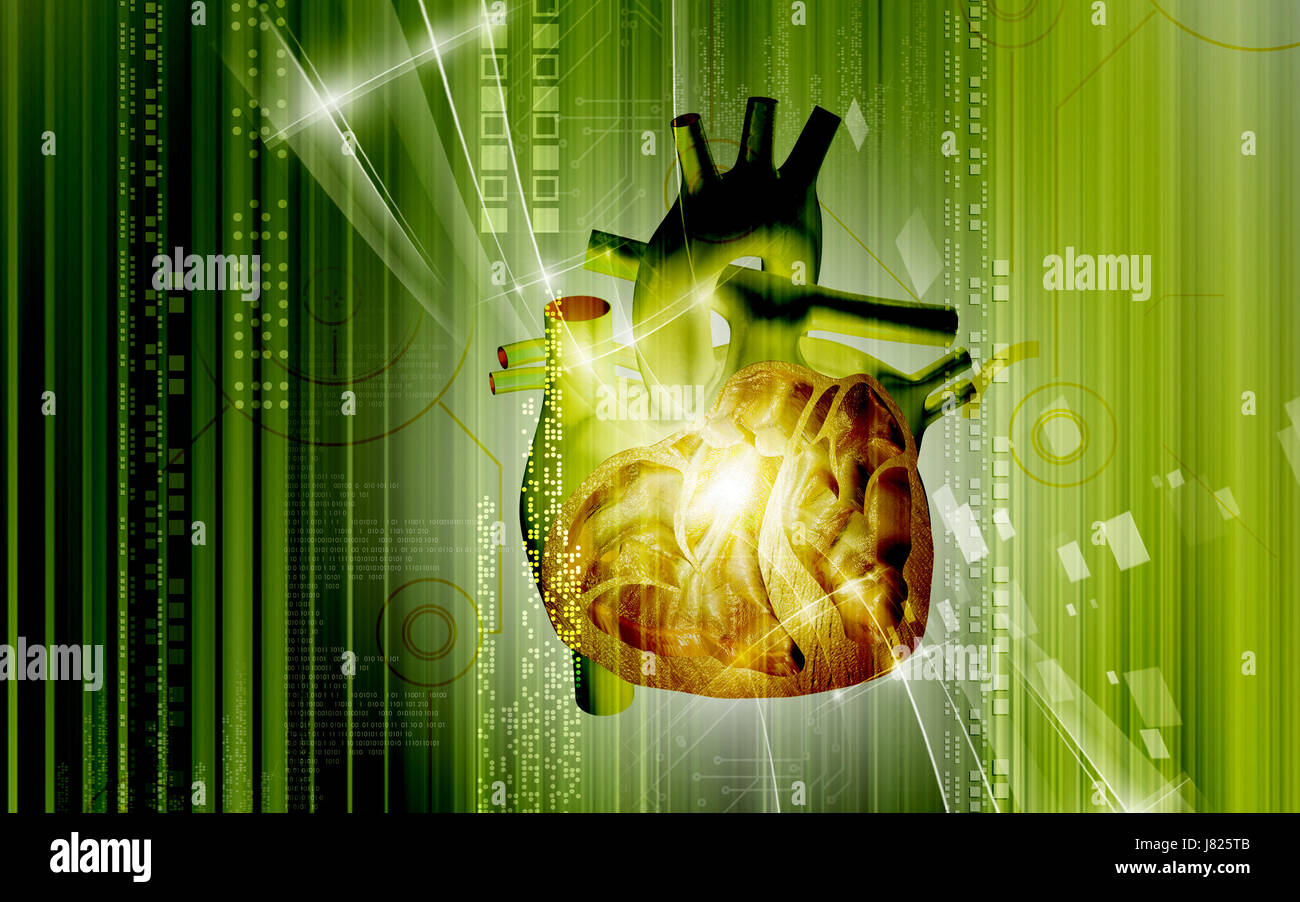 education health medicinally medical circulation graphics colour ...