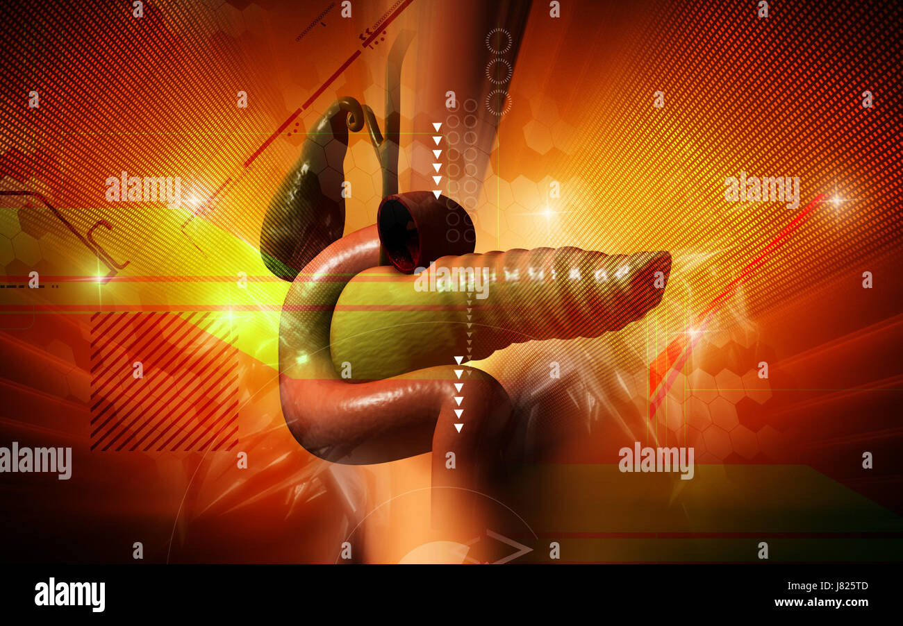 health medicinally medical graphics colour human human being ...