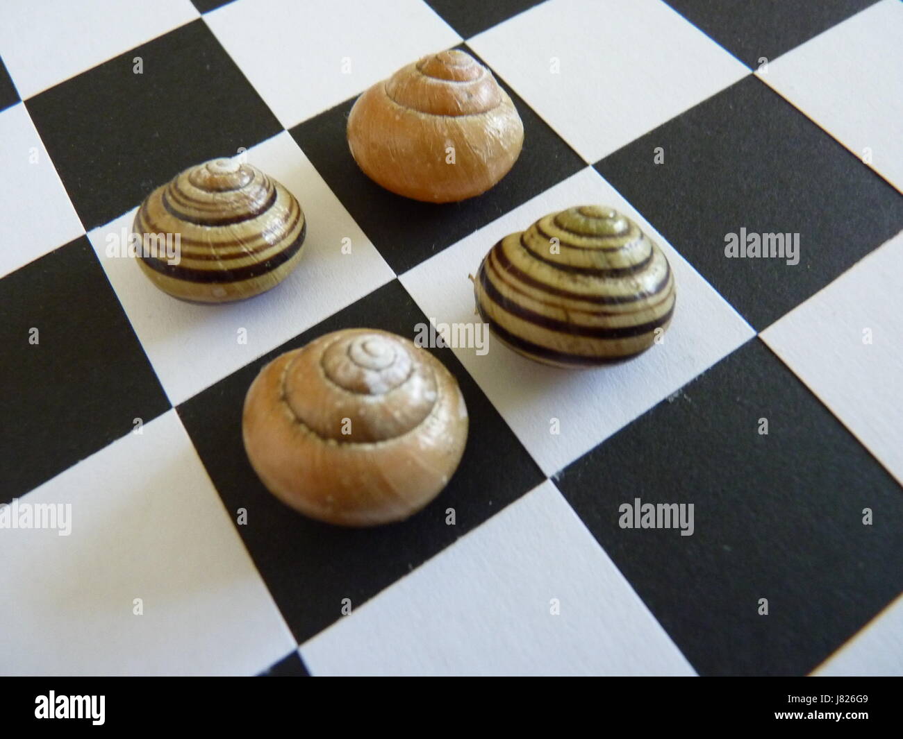 Plain white book cover hi-res stock photography and images - Alamy