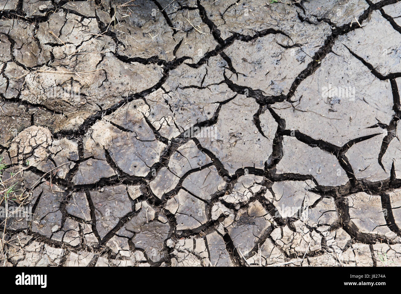 dry cracked ground surface Stock Photo - Alamy