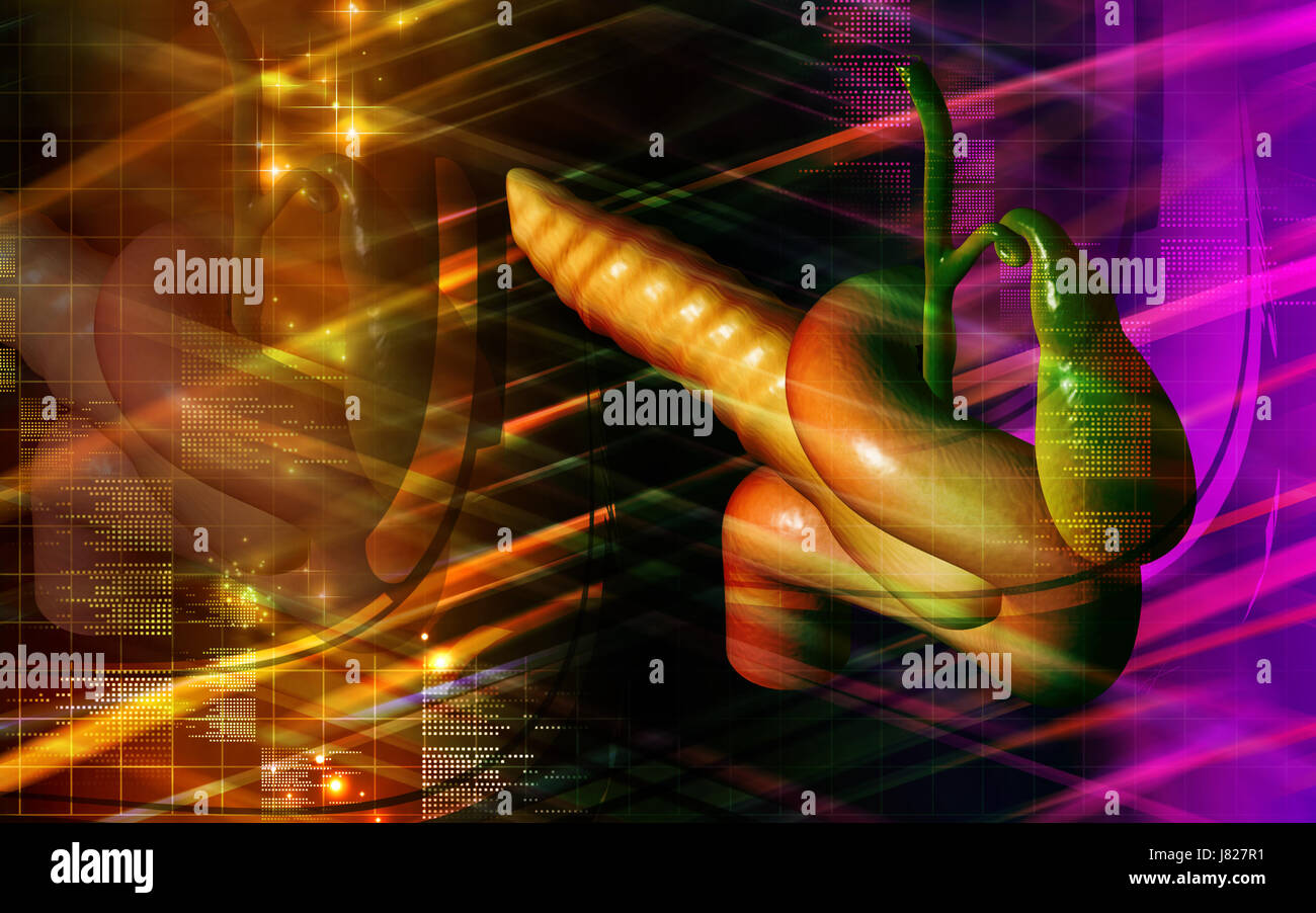 health medicinally medical graphics colour human human being ...