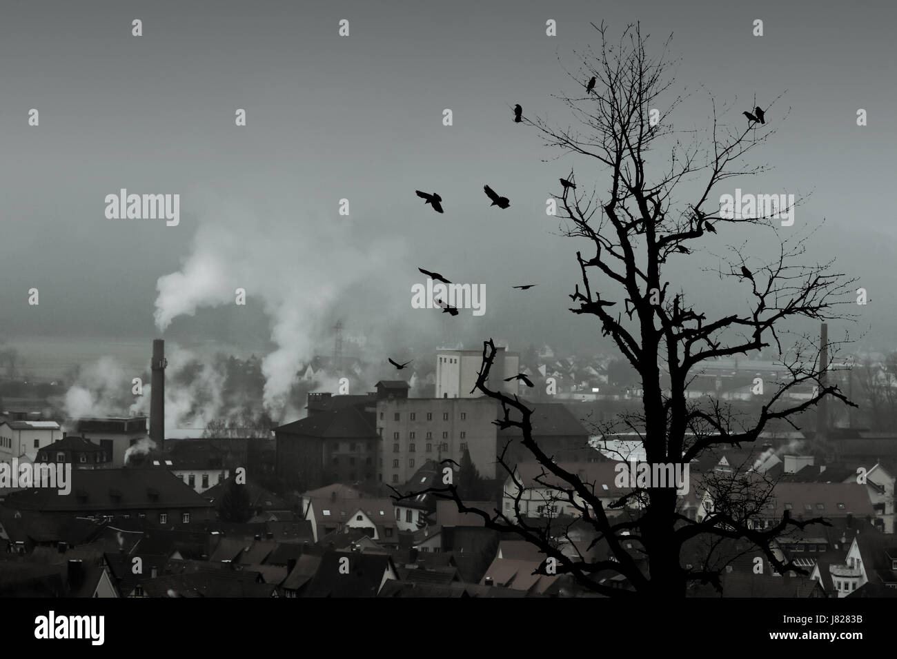 Smoking bird hi-res stock photography and images - Alamy