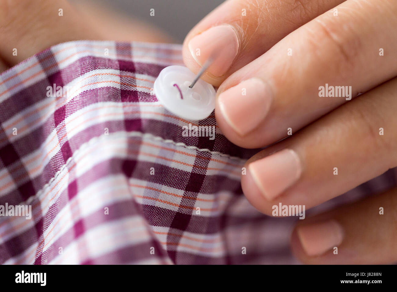 woman with needle stitching on button to shirt Stock Photo - Alamy