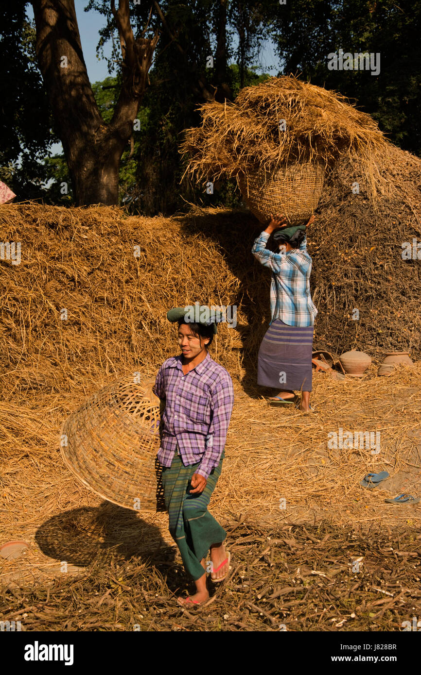 ASIA, MYANMAR (BURMA), Mandalay Region, Yandabo Pottery Village, woman ...