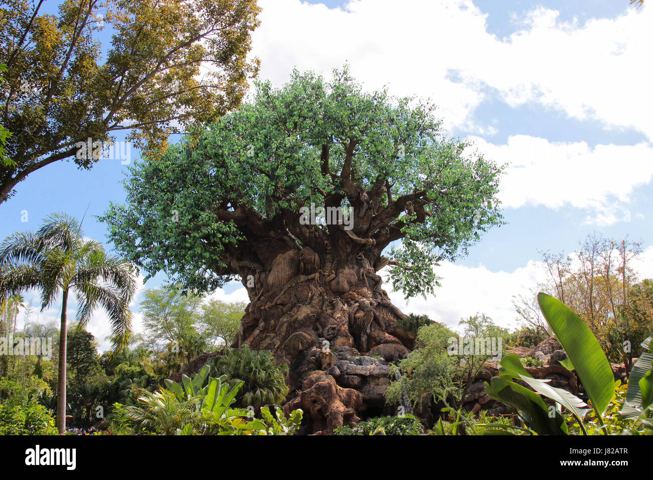 The Tree of Life at Disney's Animal Kingdom in Florida Stock Photo - Alamy