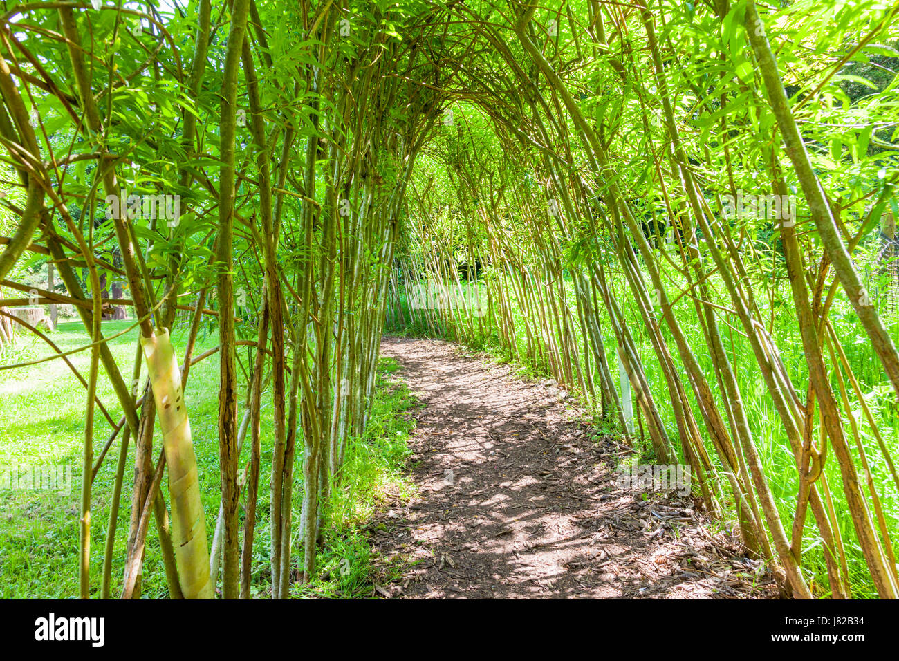 Bamboo arches hi-res stock photography and images - Alamy