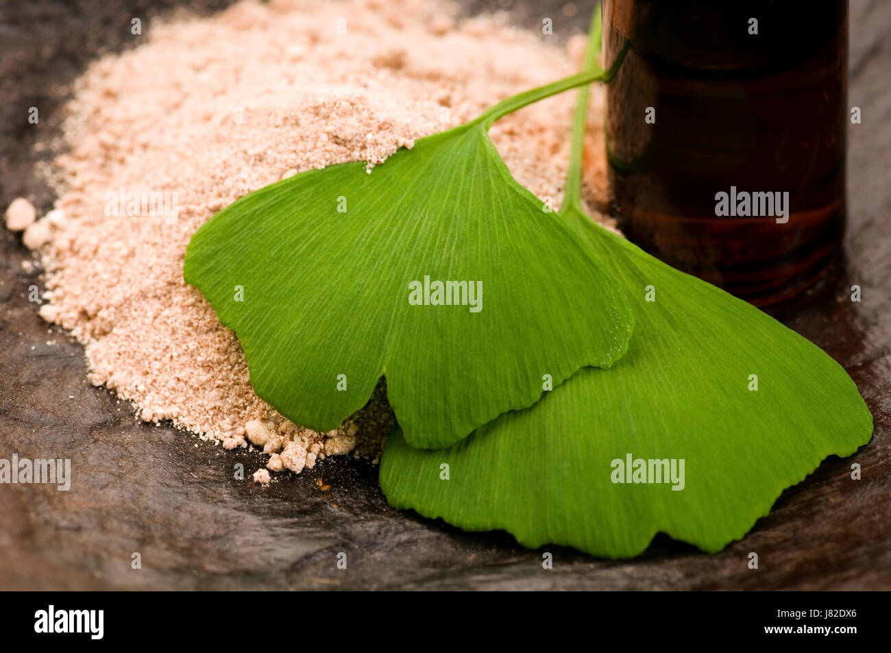 salt herb lawn green oil salt leaf lifestyle tree freshness wellbeing ...