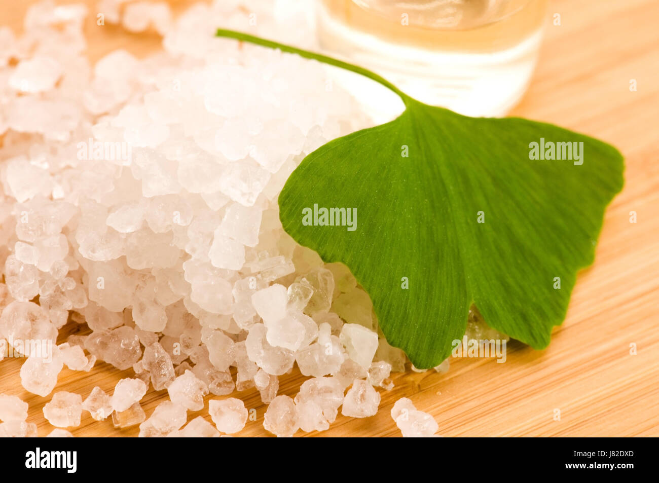 salt herb lawn green oil salt leaf lifestyle tree freshness wellbeing ...