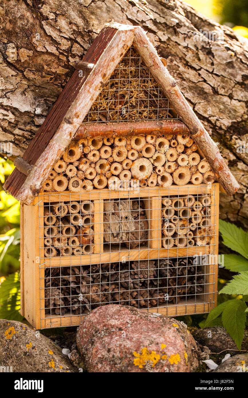 Insect house in a summer garden Stock Photo - Alamy