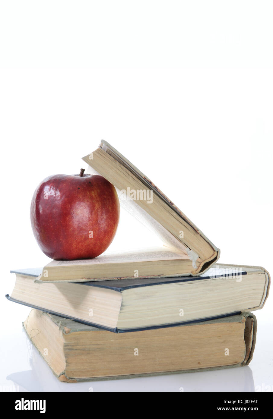 food aliment teacher object objects education educate health isolated ...