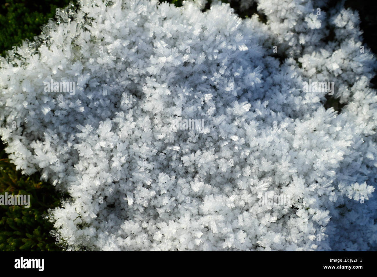 winter ice frozen abstract crystals shapes shape water weather winter ...