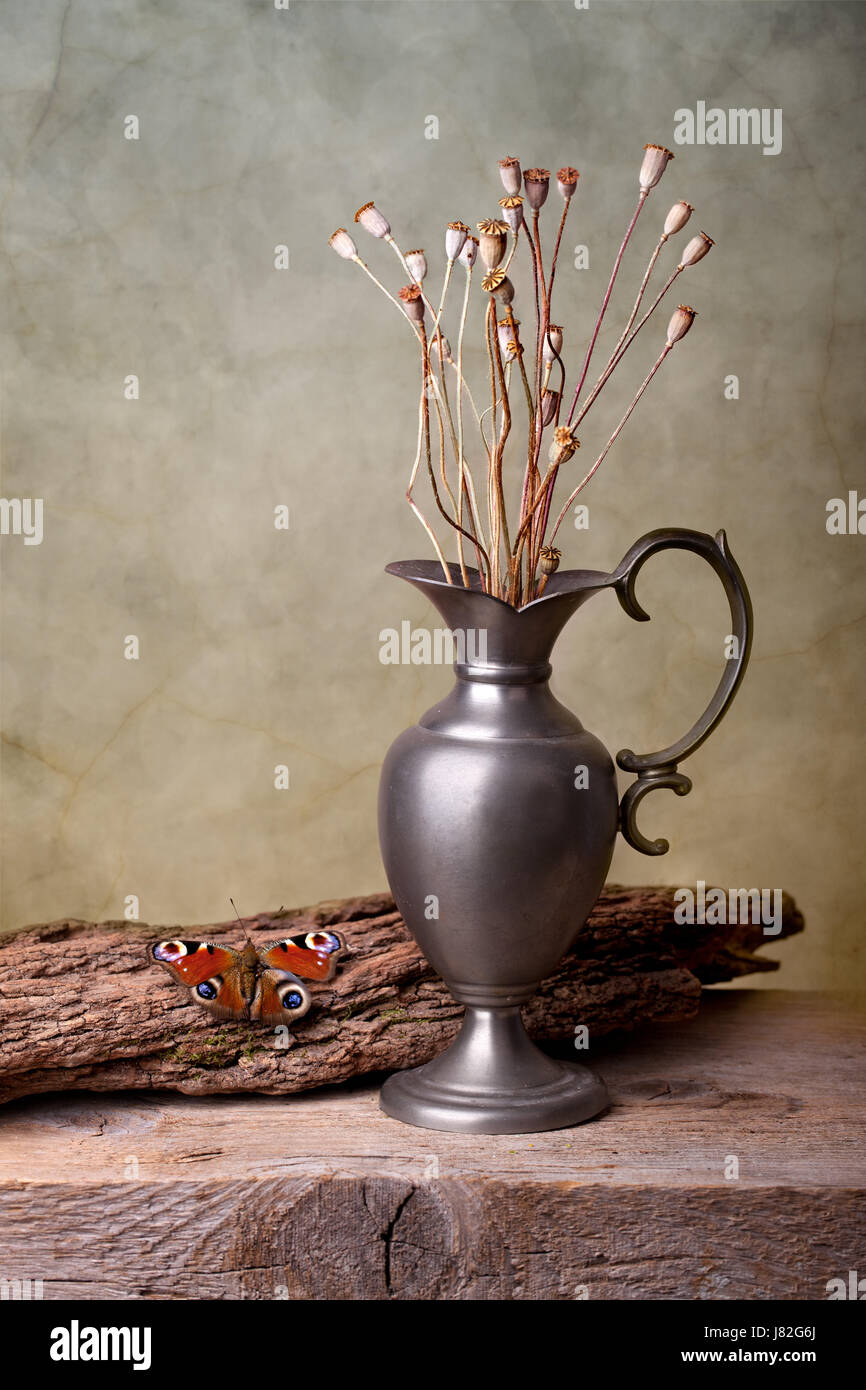 still life with butterfly Stock Photo - Alamy