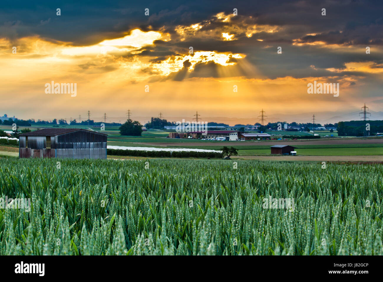 Peasant farming hi-res stock photography and images - Alamy