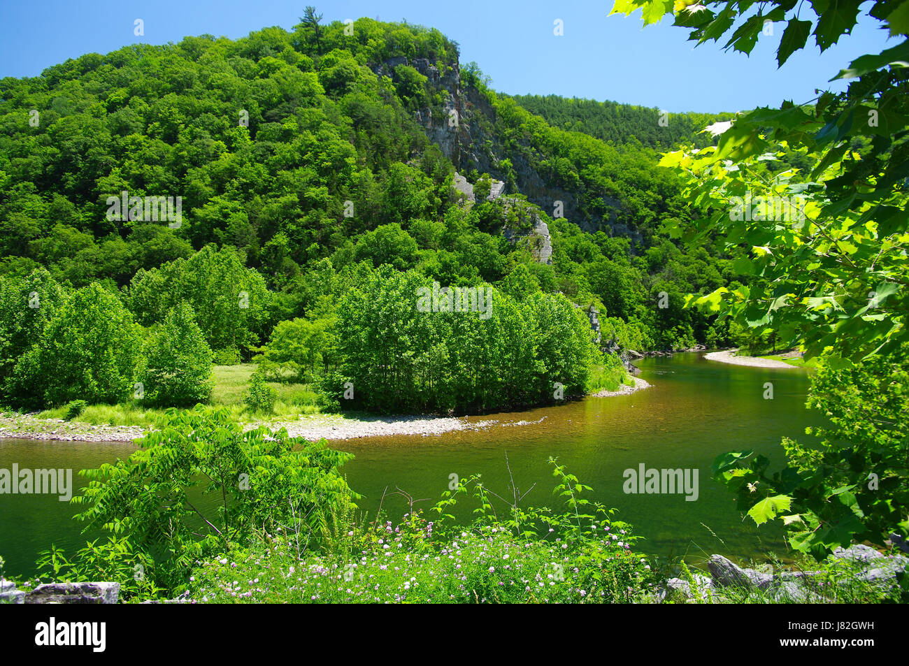 mountains spring bouncing bounces hop skipping frisks jumping jump ...