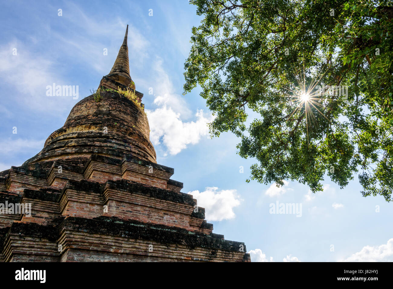 Ancient pagoda near a large tree with green leaves and sunlight on blue ...