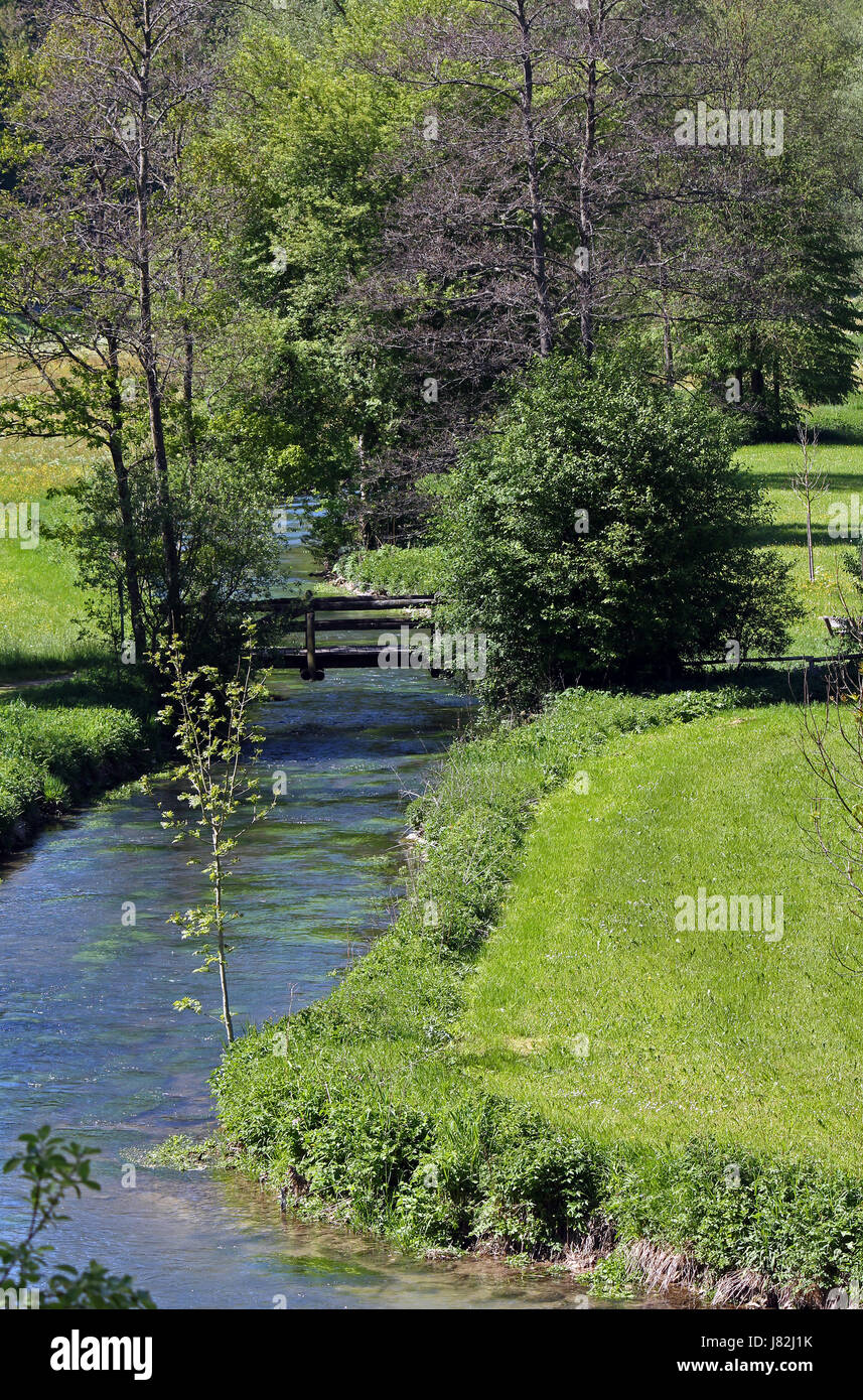 tree trees waters bridge stream meadows wet railing idyllic path way ...