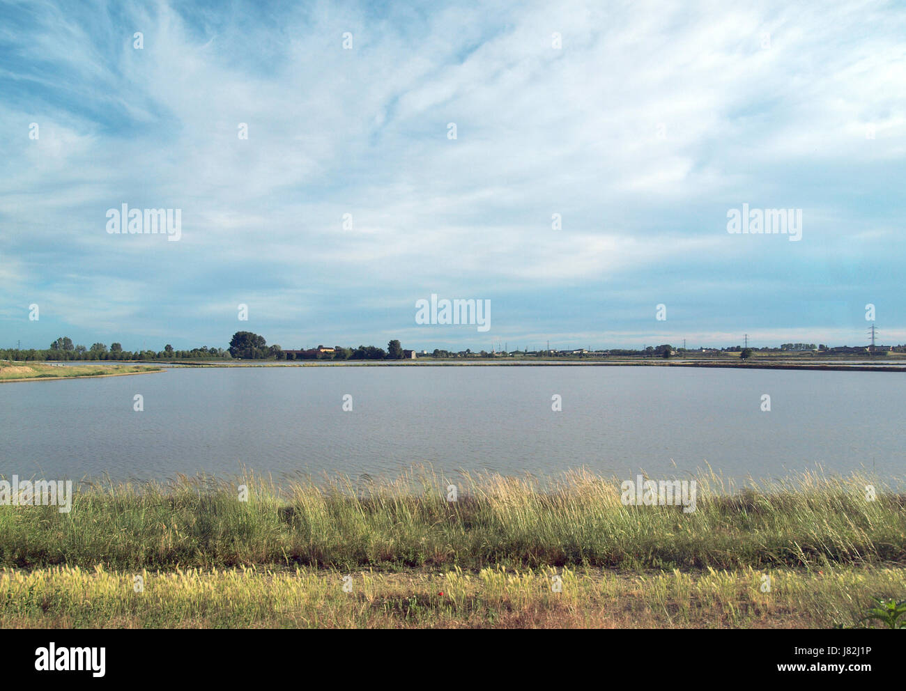 field parcel land flooded realty ground rice package packet food ...