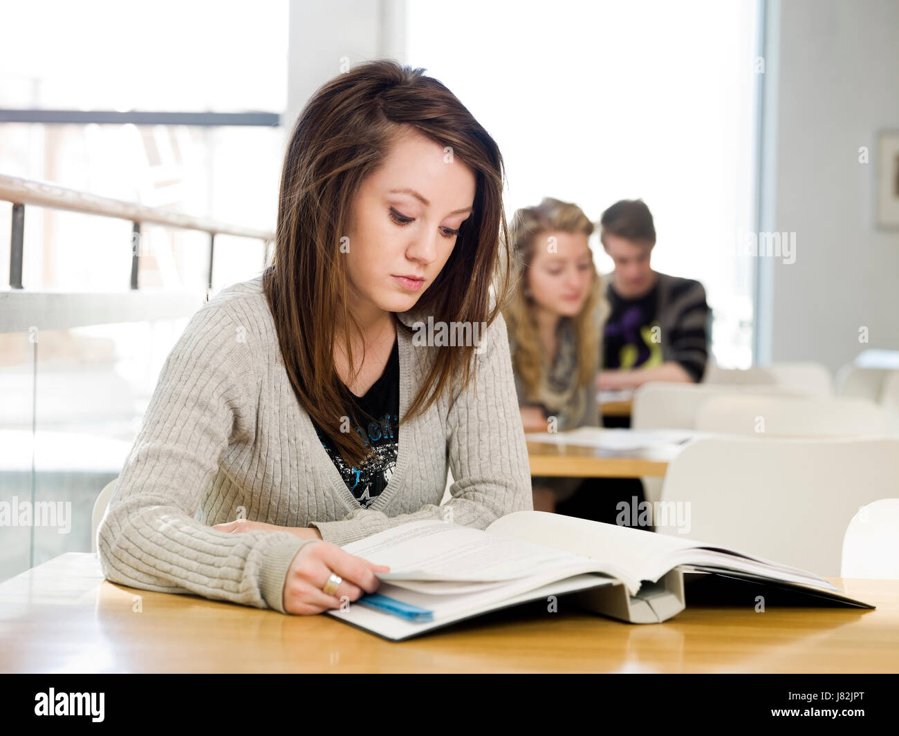 woman study humans human beings people folk persons human human being ...