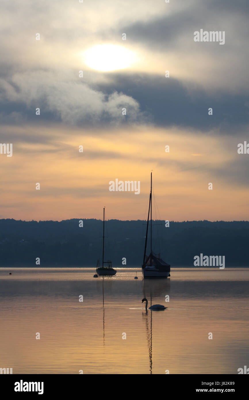 swan sail sailing boat sailboat tomorrow tendency salt water sea ocean ...