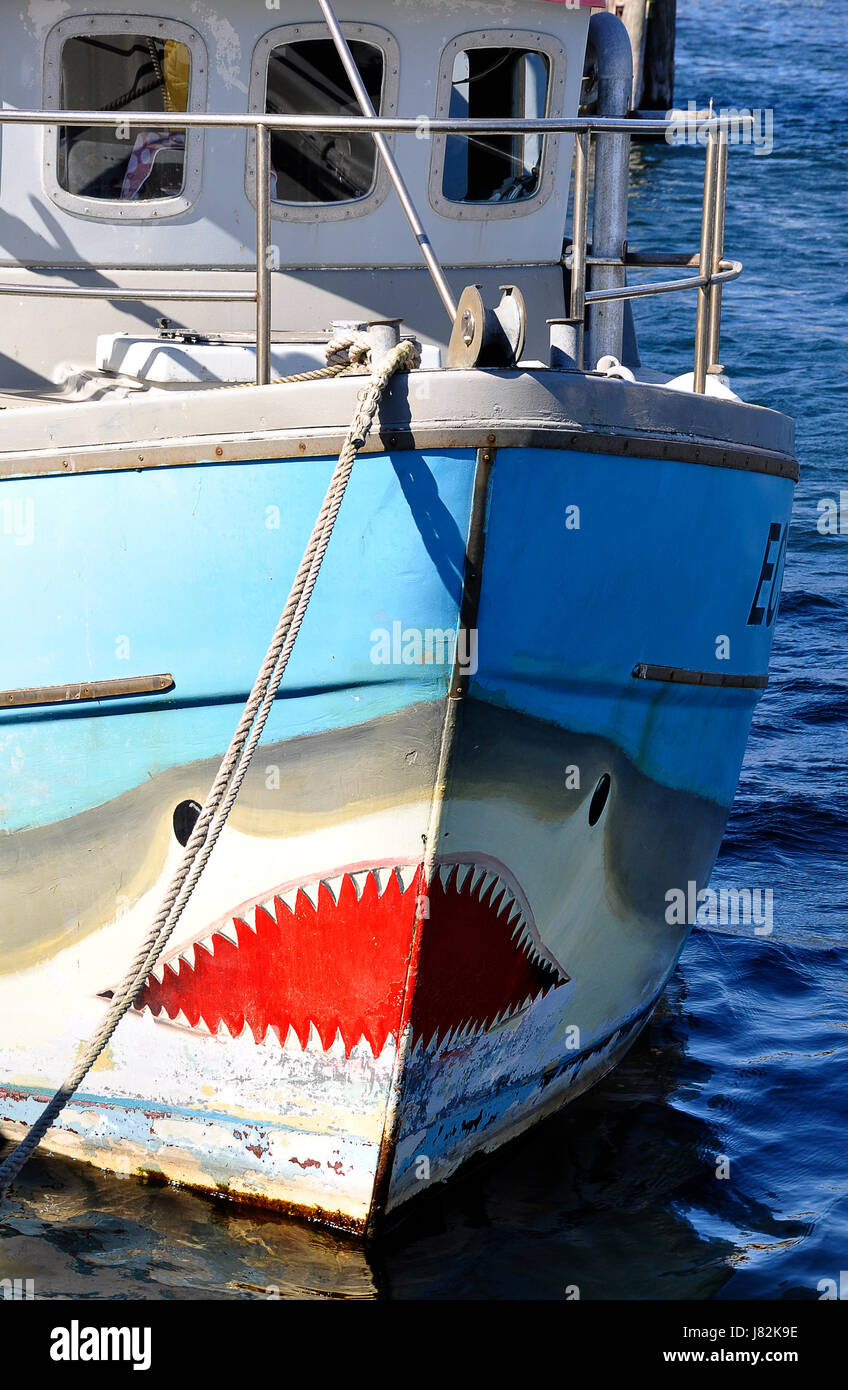 leash fishing ship shark sailing boat sailboat rowing boat boat ...