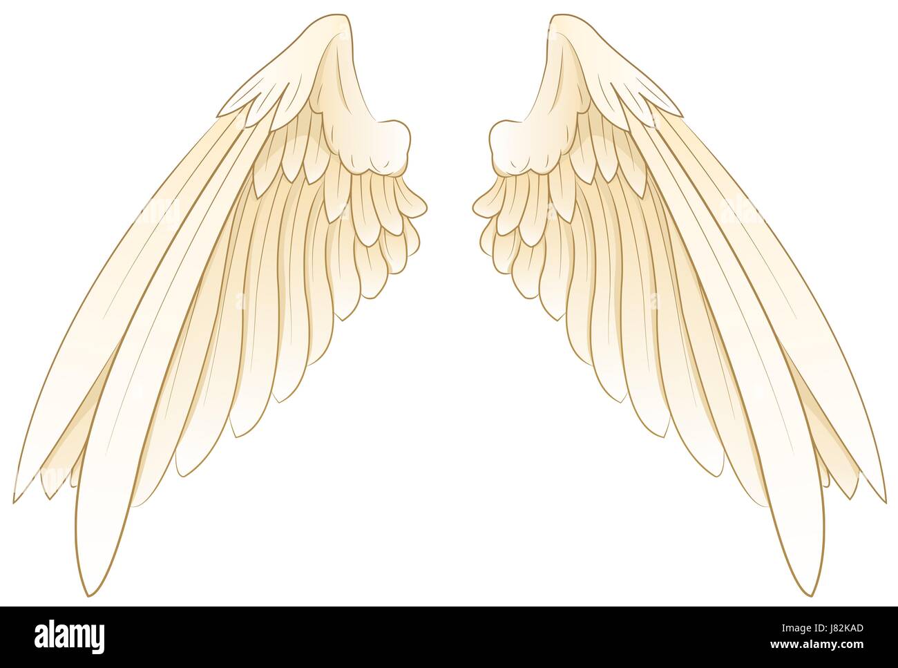 pair of wings Stock Photo - Alamy