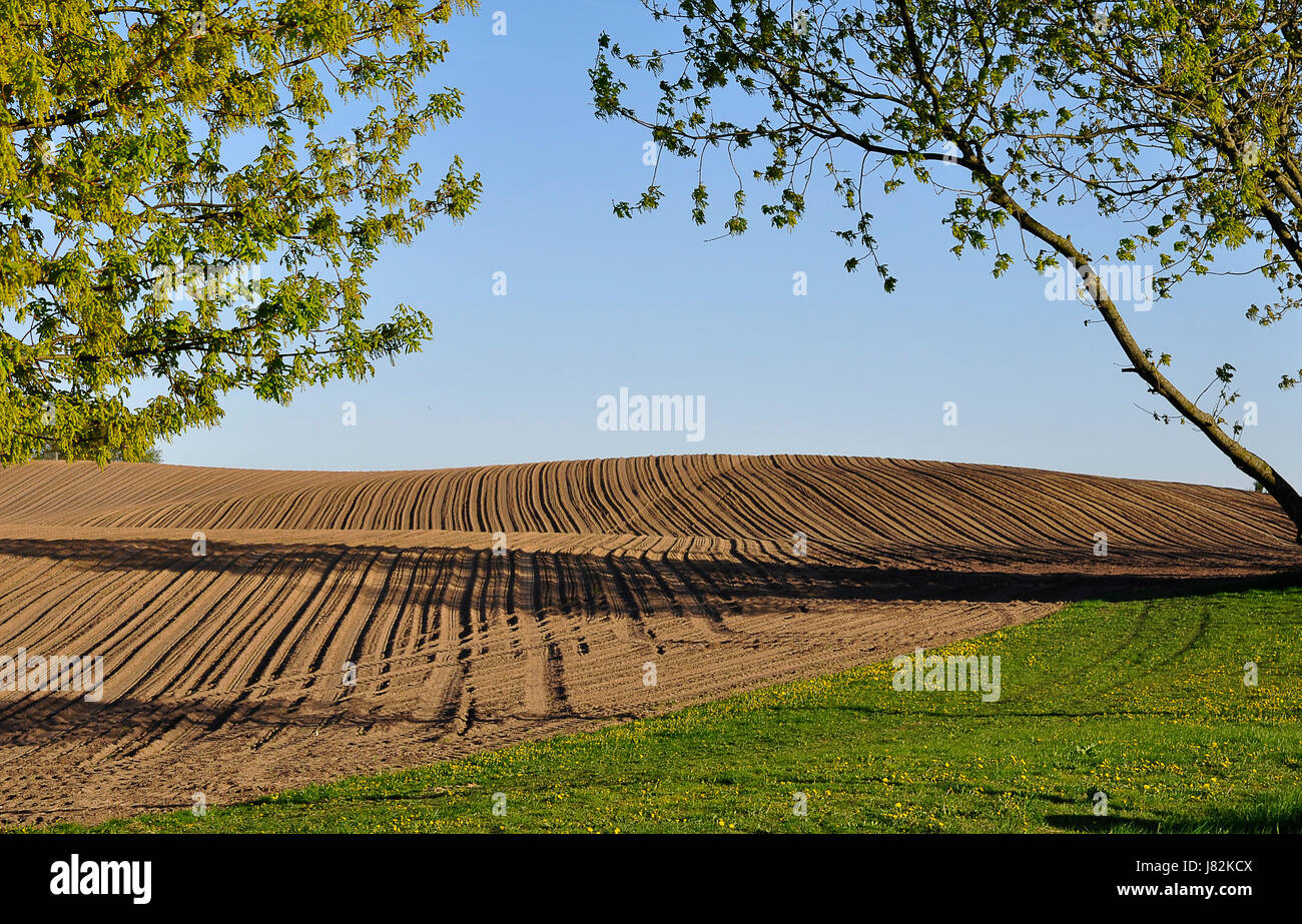 agriculture farming acre globe planet earth world seed sow fertile ...