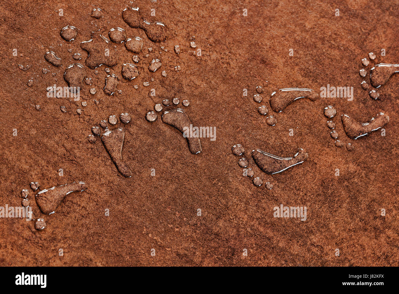 foot tracks footprints footmarks wee-wee foot wet pee water tracks ...