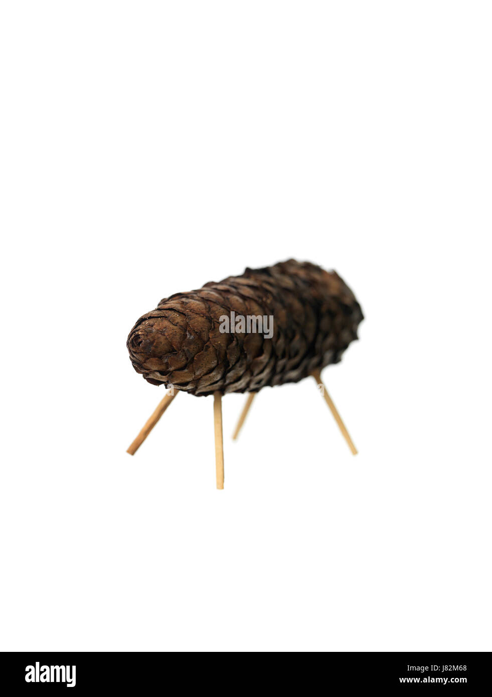 still life animal toy studio cone product white white background ...