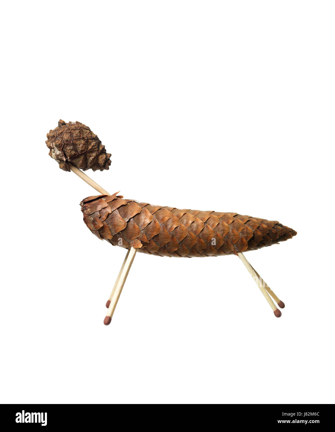 still life animal toy studio cone product white white background ...