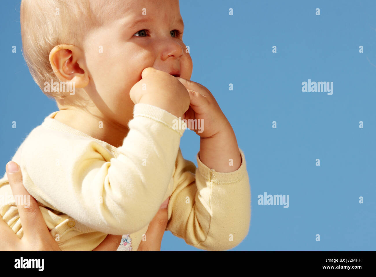 blue laugh laughs laughing twit giggle smile smiling laughter ...