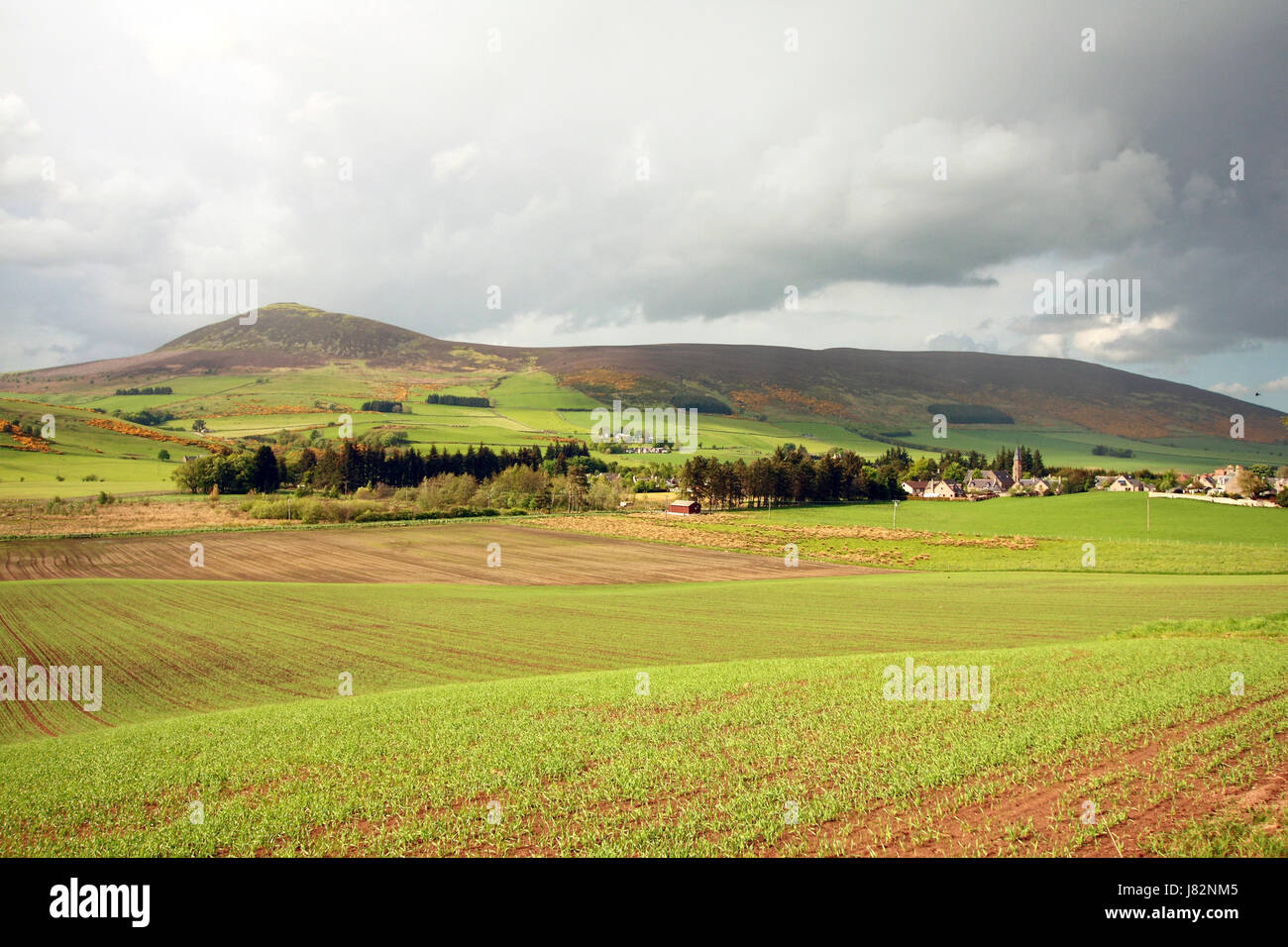 agriculture farming europe wheat scotland landscape scenery countryside ...