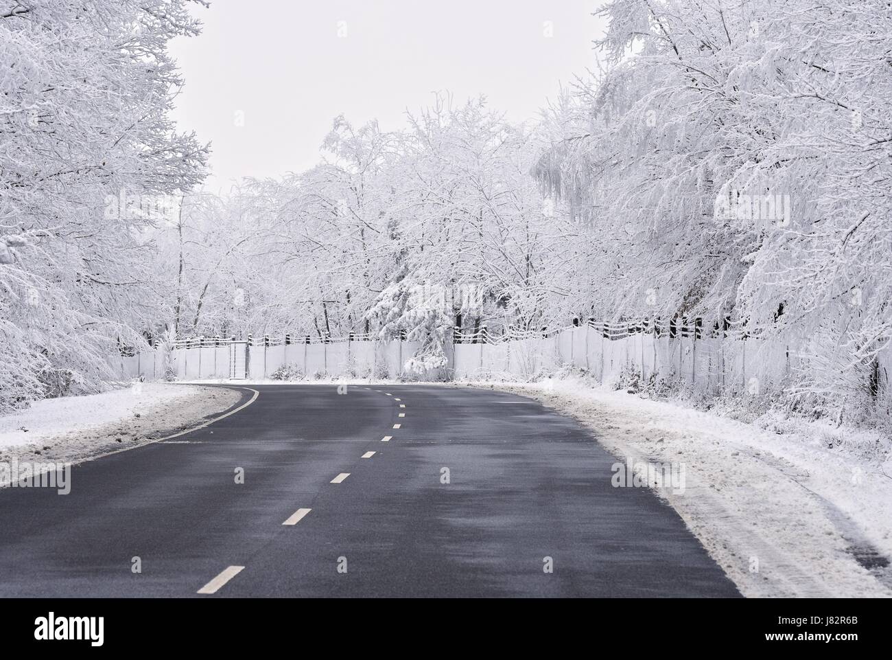 Empty road with snow covered landscape. Beautiful winter seasonal ...