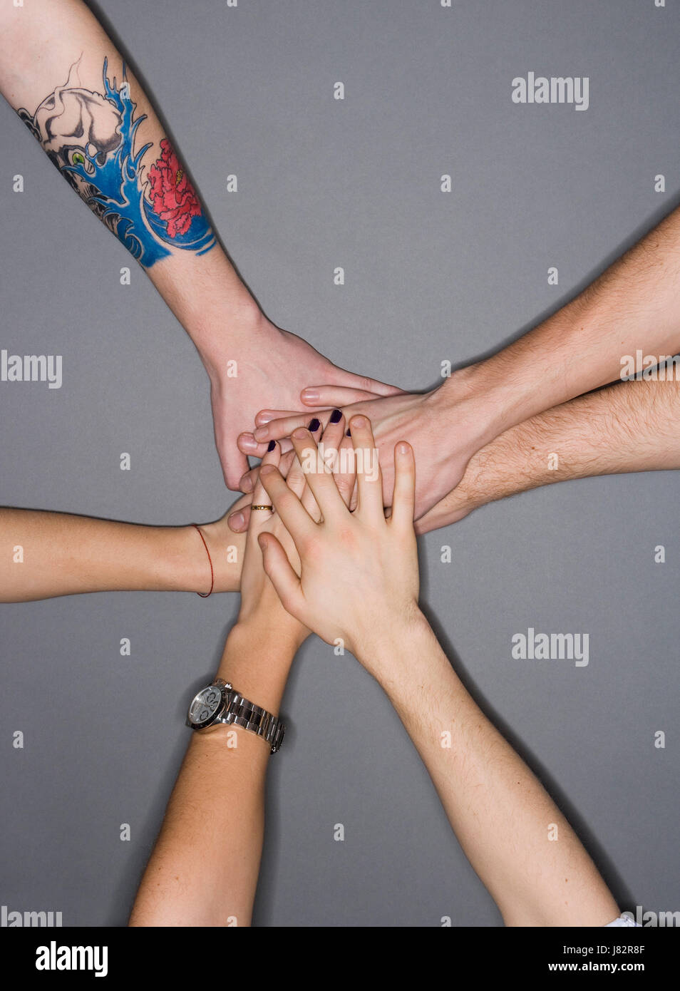 humans human beings people folk persons human human being hand fist ...