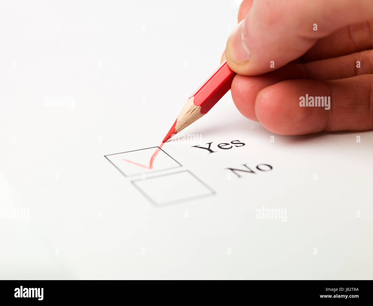 still life colour studio square vote voting no report box boxes query ...