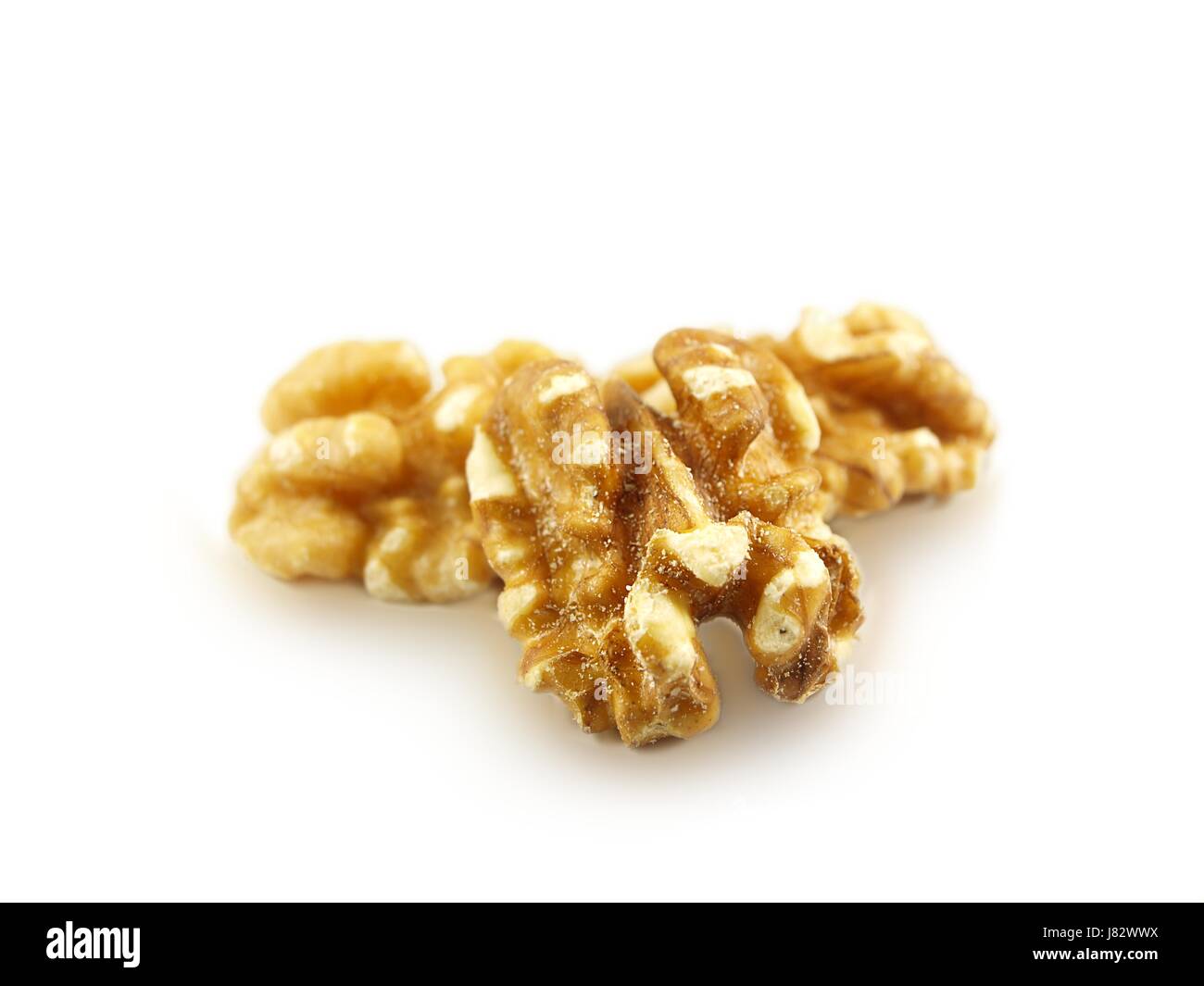 isolated fruit dry dried up barren dried nut walnut backdrop background ...