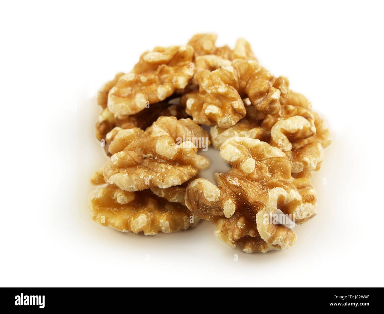 isolated fruit dry dried up barren dried nut walnut backdrop background ...