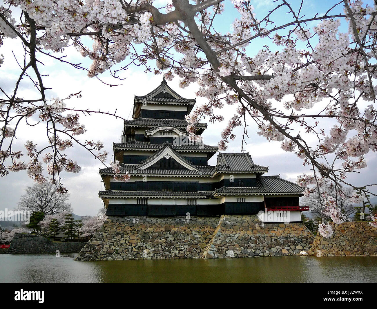 asia cherry blossom japan castle chateau beautiful beauteously nice ...