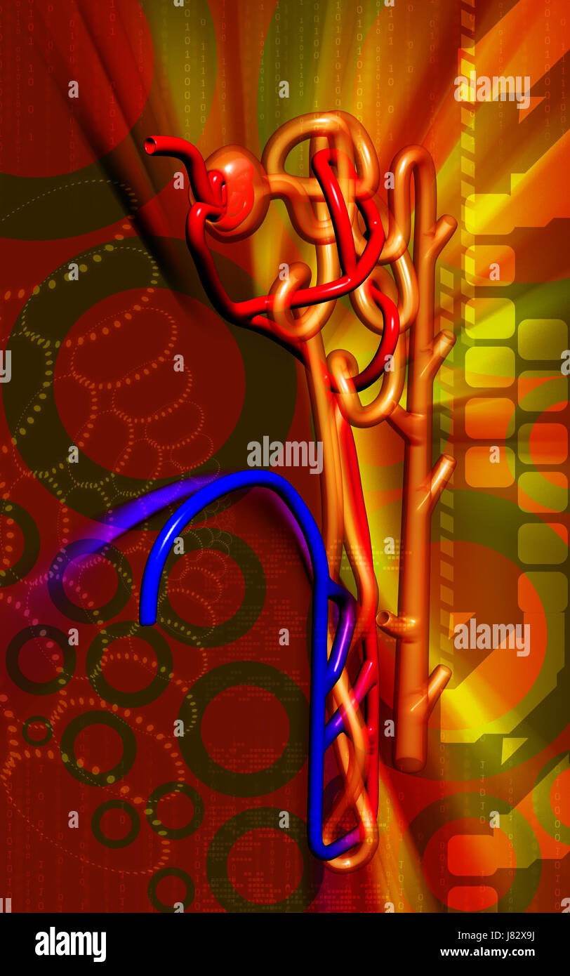 education graphics colour science illustration imagination blood ...