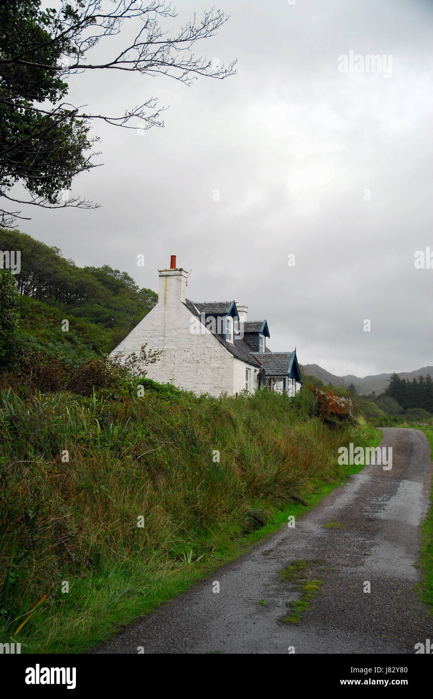 houses tree plant scotland path way street road building weather ...