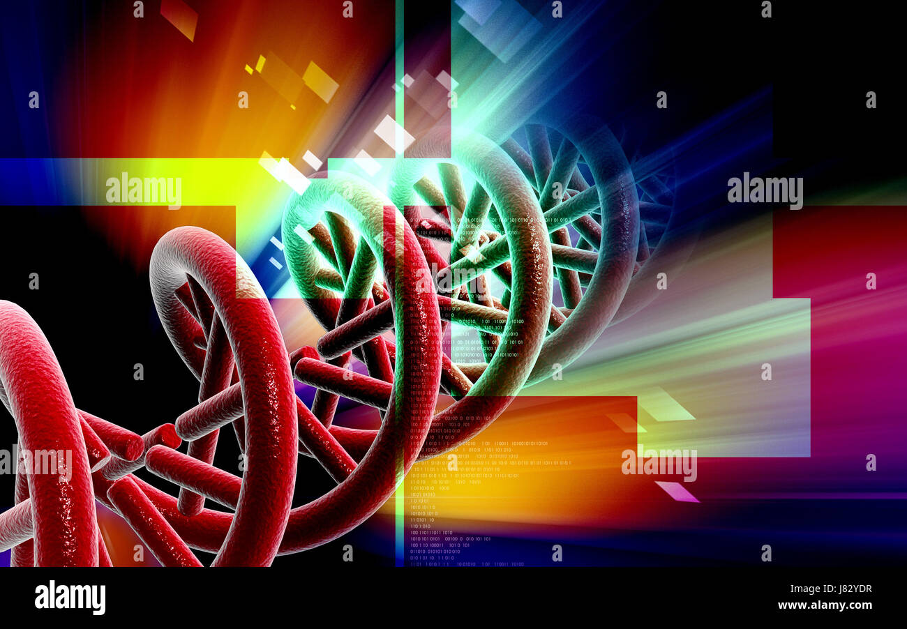 education medicinally medical graphics colour science illustration ...