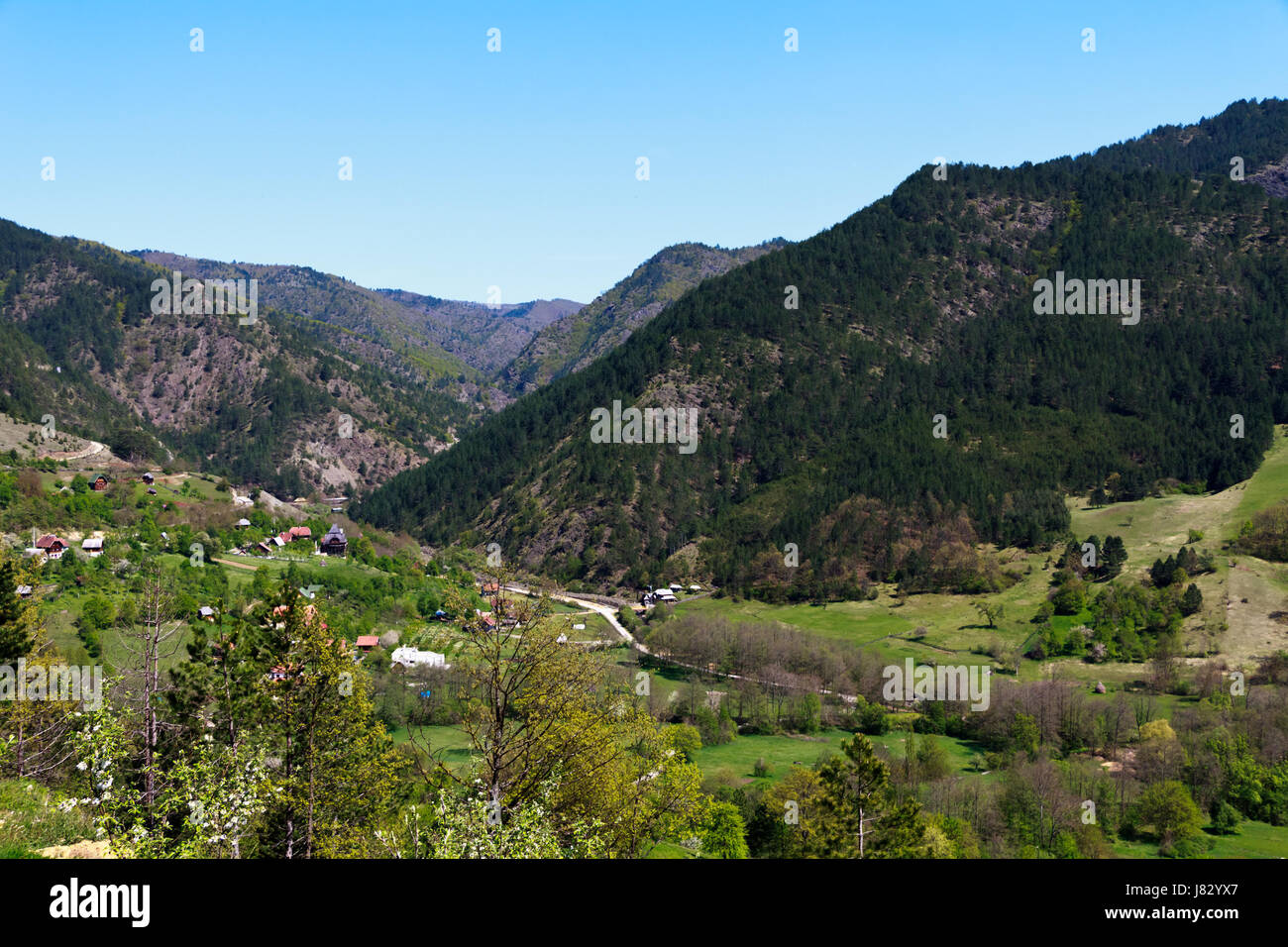 park national park alpine high pressure area mountain tare blue tree ...