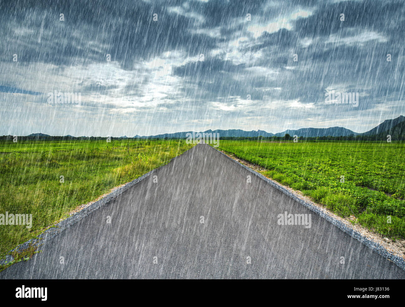 country road with falling rain Stock Photo - Alamy